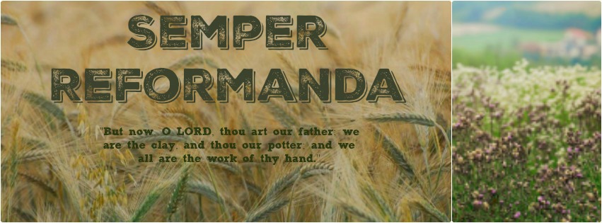 Semper Reformanda: As Thou Goest, Step by Step, I Will Open Up the Way ...