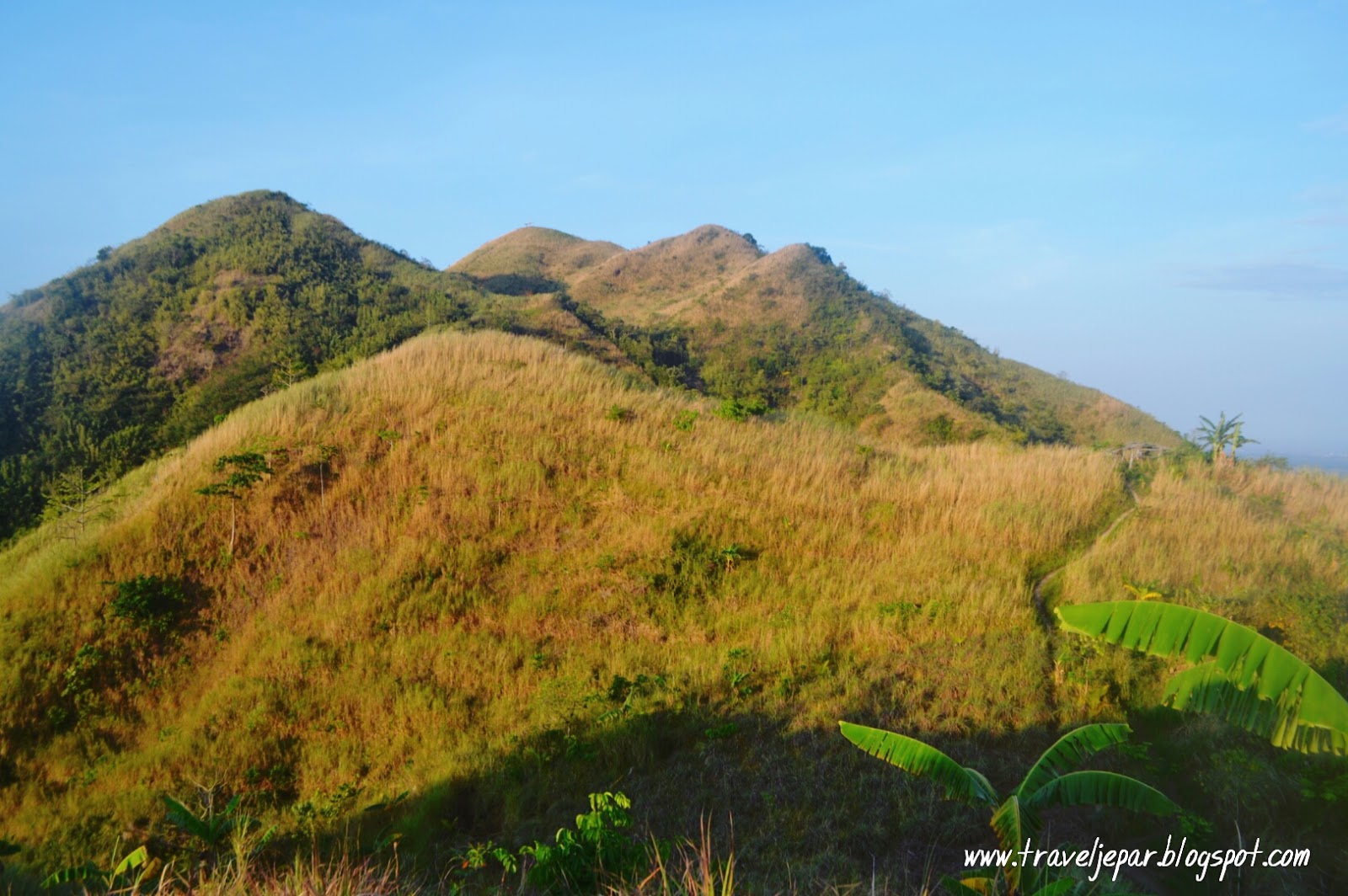 Mt. Ayaas | When In Mascap