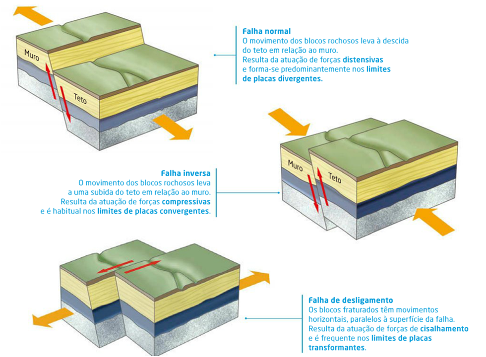 Portefólio de Biologia-Geologia