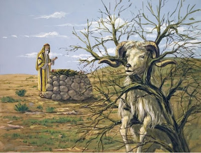 The Lamb's Wife Blog: 01/23/17 ~ Abraham, Isaac, and a ram ...
