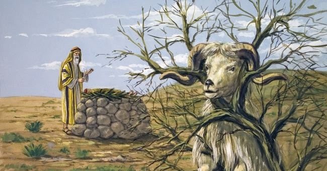 The Lamb's Wife Blog: 01/23/17 ~ Abraham, Isaac, and a ram ...