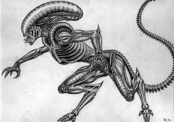 Monsters & Beasts Database: Original Xenomorph Designs by H. R. Giger