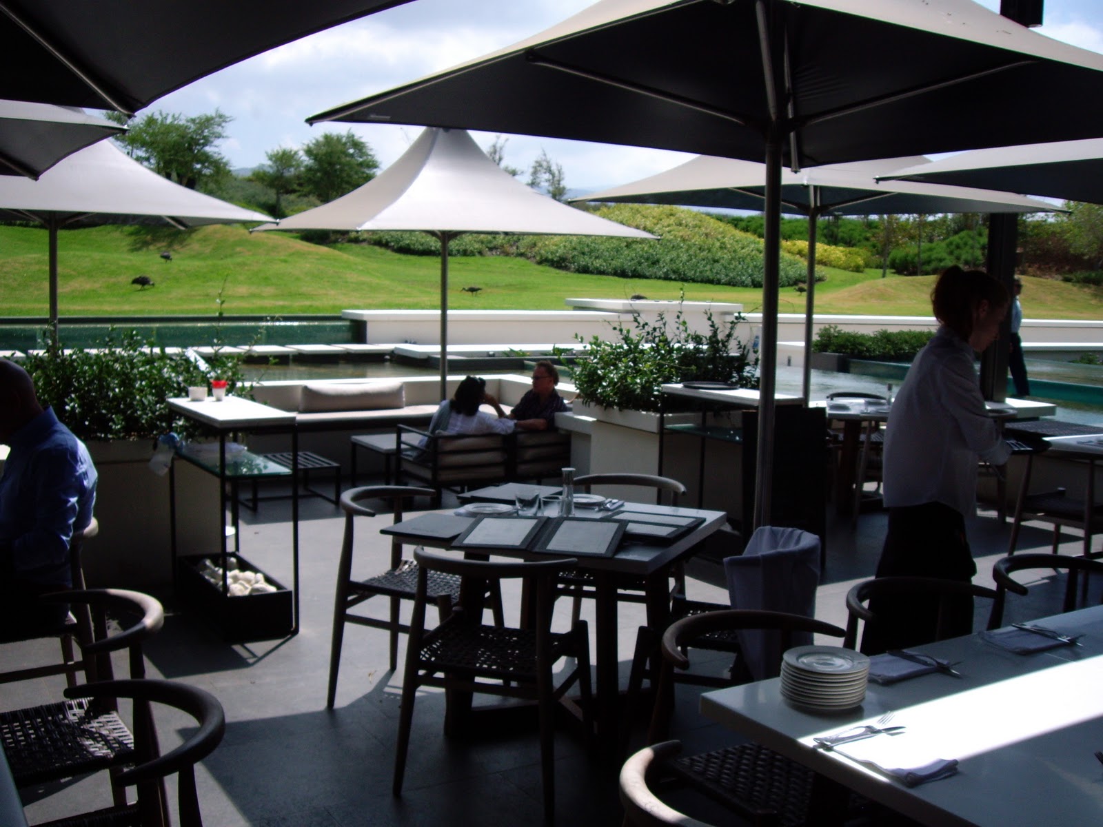 Wineries in the Western Cape: Steenberg - Constantia