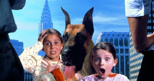 Yo Veo Disney Channel: Chestnut, El Heroe del Central Park