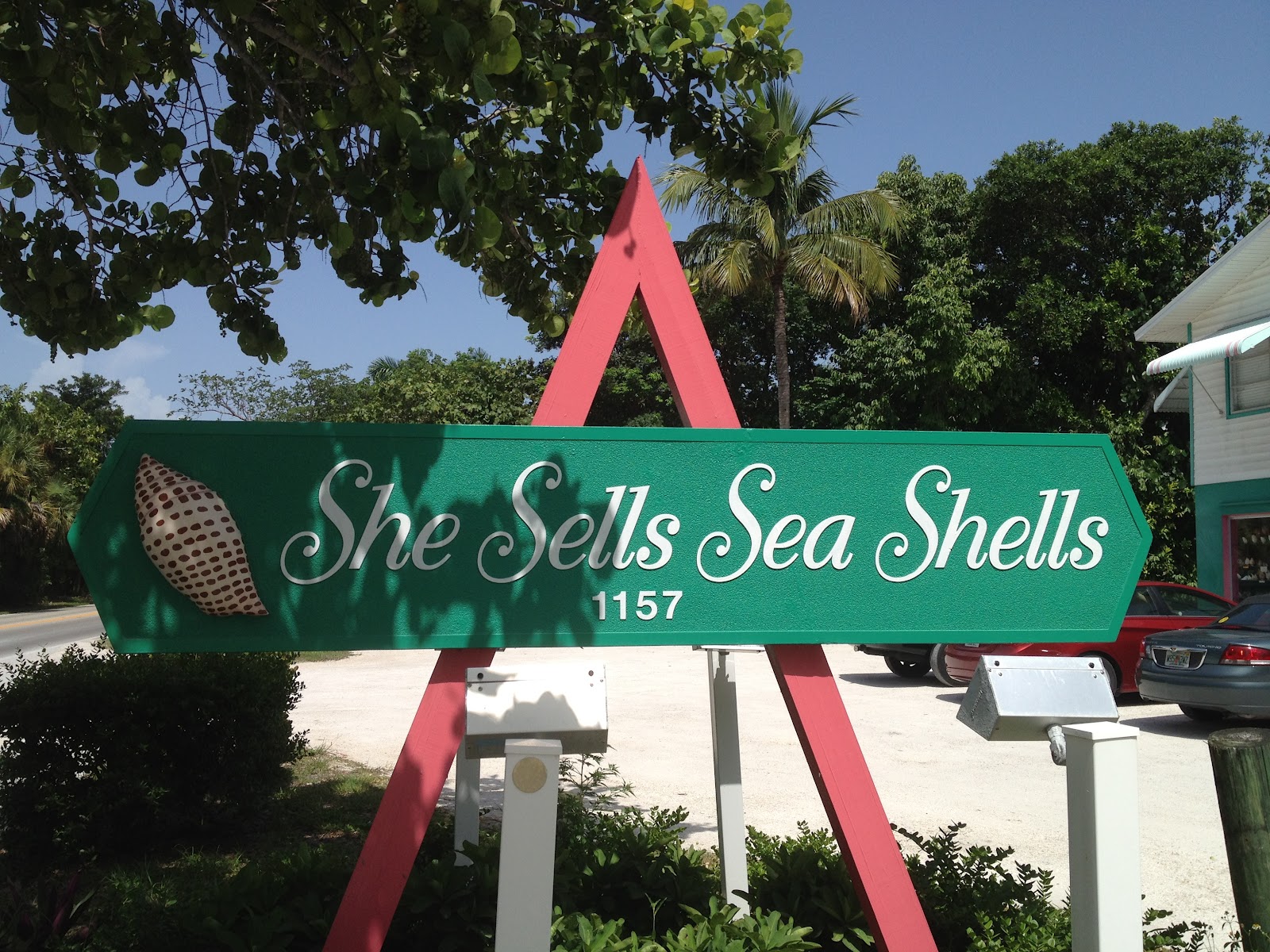 Citybabble: She Sells Sea Shells