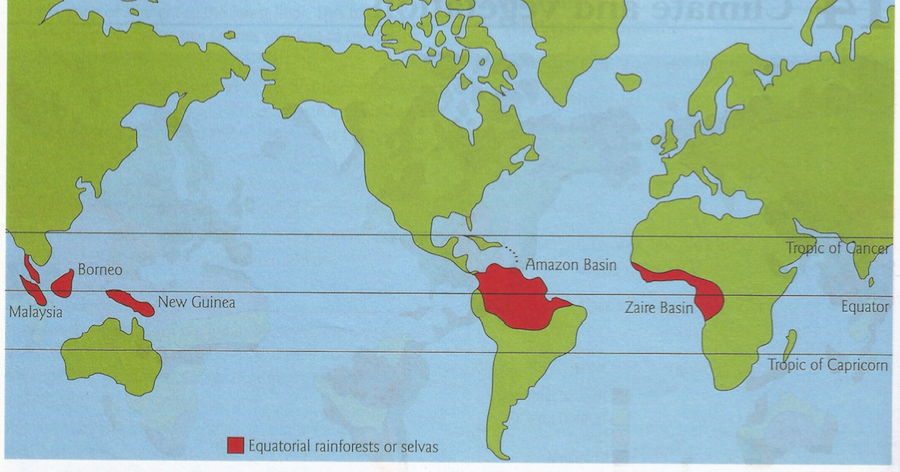 Weather and Climate: Equatorial Climates