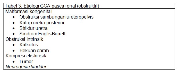 sikkahoder: makalah GAGAL GINJAL AKUT PADA ANAK