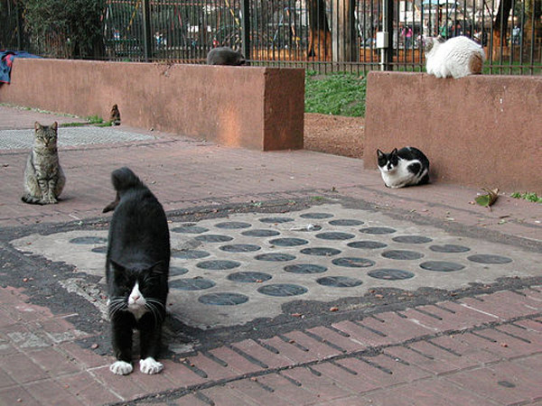 The Along Hidayah: Tashirojima Japan (Cat Island)