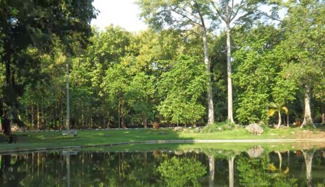 Kebun Raya Purwodadi – Jawa Timur ~ East Java BackPacker