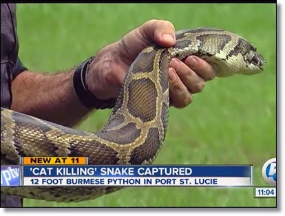 The Pet Tree House - Where Pets Are Family Too : Port St. Lucie ...