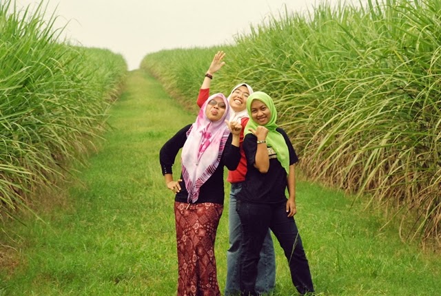 Wadihana Homestay: TEMPAT-TEMPAT MENARIK YANG BOLEH DILAWATI DI PERLIS