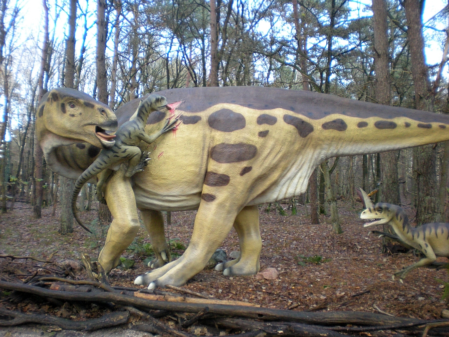 Love in the Time of Chasmosaurs: Welkom in het DinoBos!