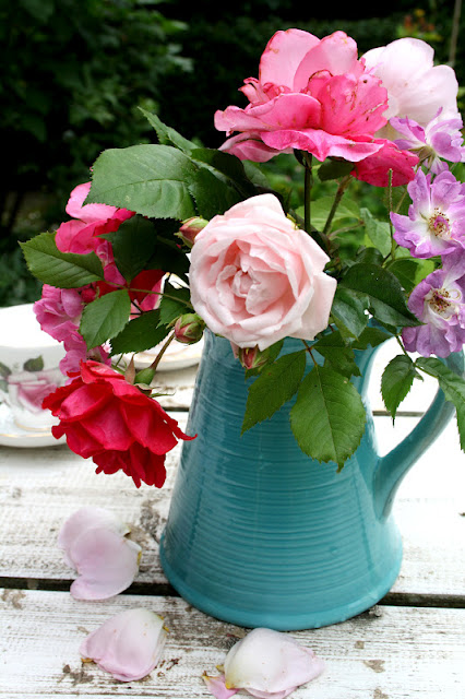 Madelief: Late June garden