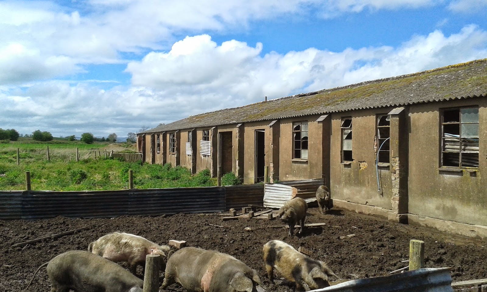 Shrewsbury from where you are not: What's left at RAF Rednal