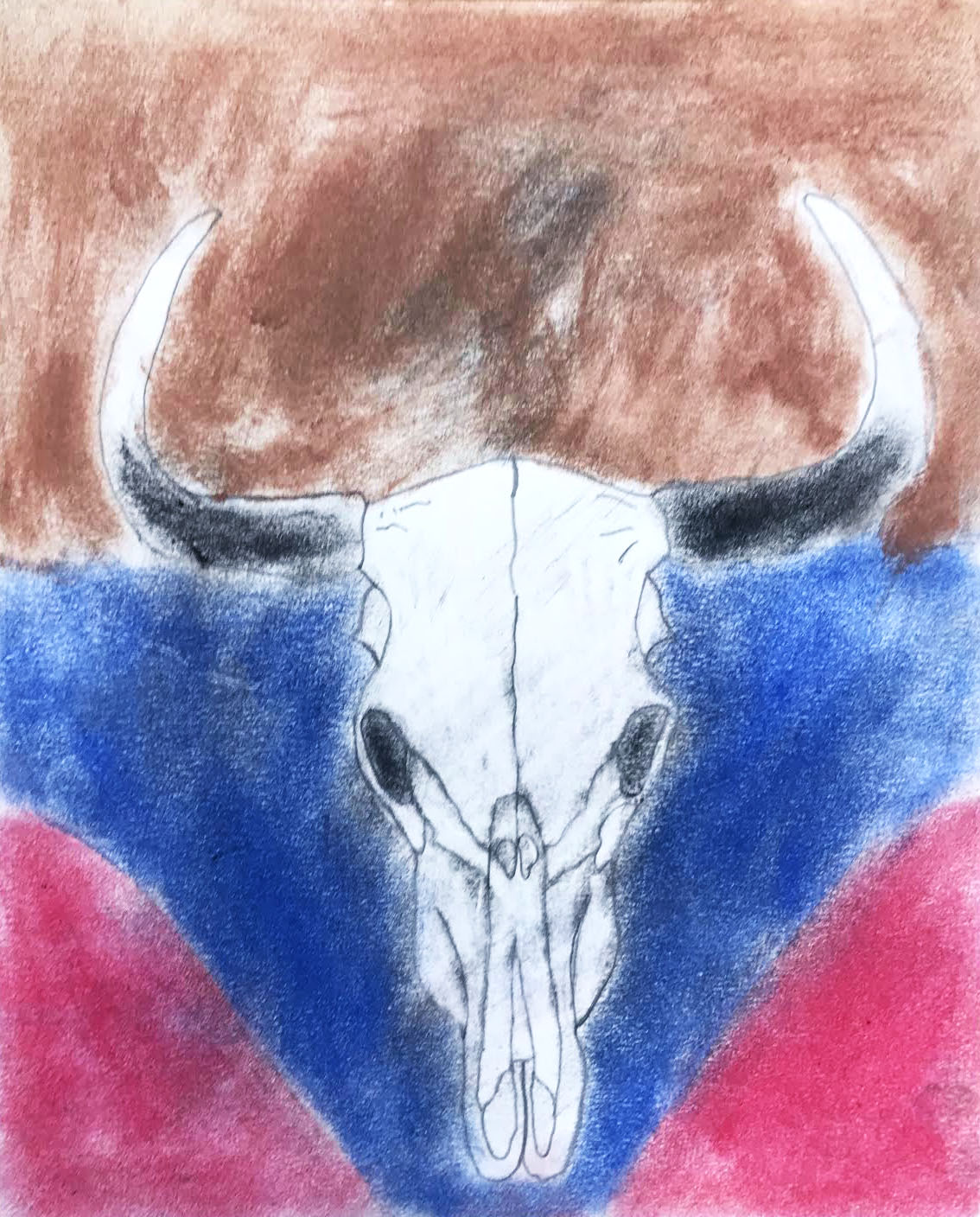 GEORGIA O'KEEFFE INSPIRED SKULLS