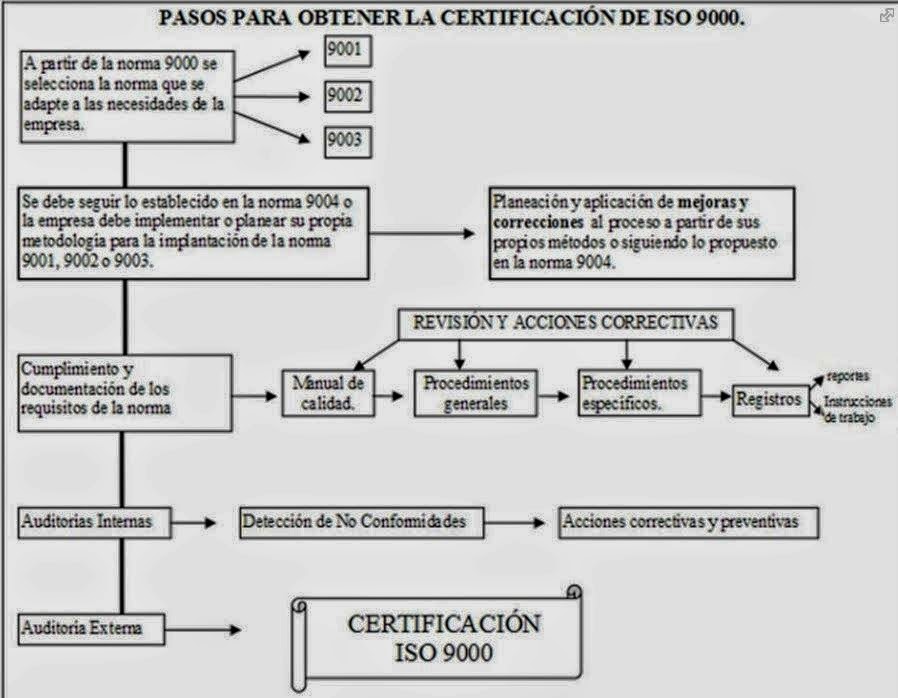 Administracion de Proyectos Primavera 2014: Pasos para la certificacion ISO