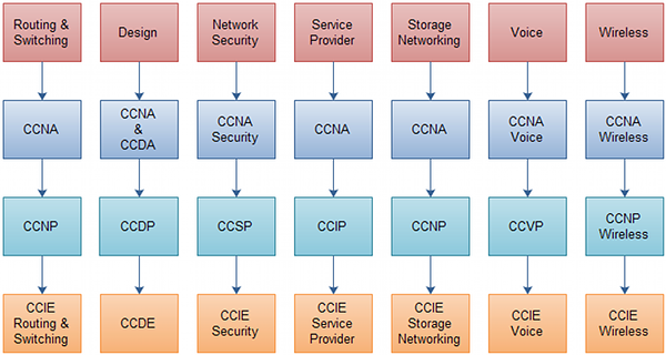 Cisco Hierarchy | Cisco
