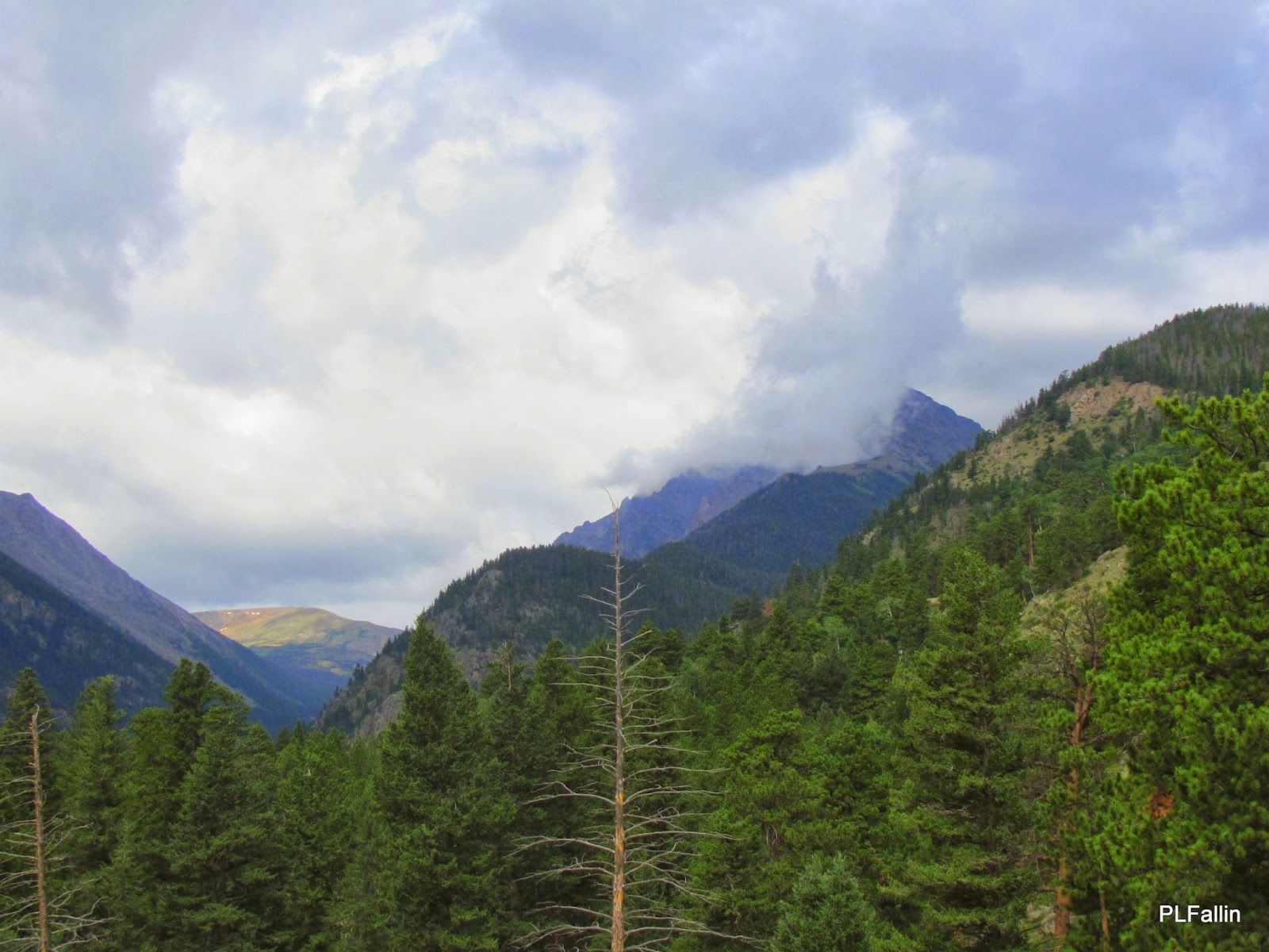 PL Fallin Photography: Scary and Magnificent Old Fall River Road