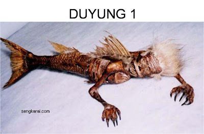 Percayakah Anda Ikan Duyung Wujud?