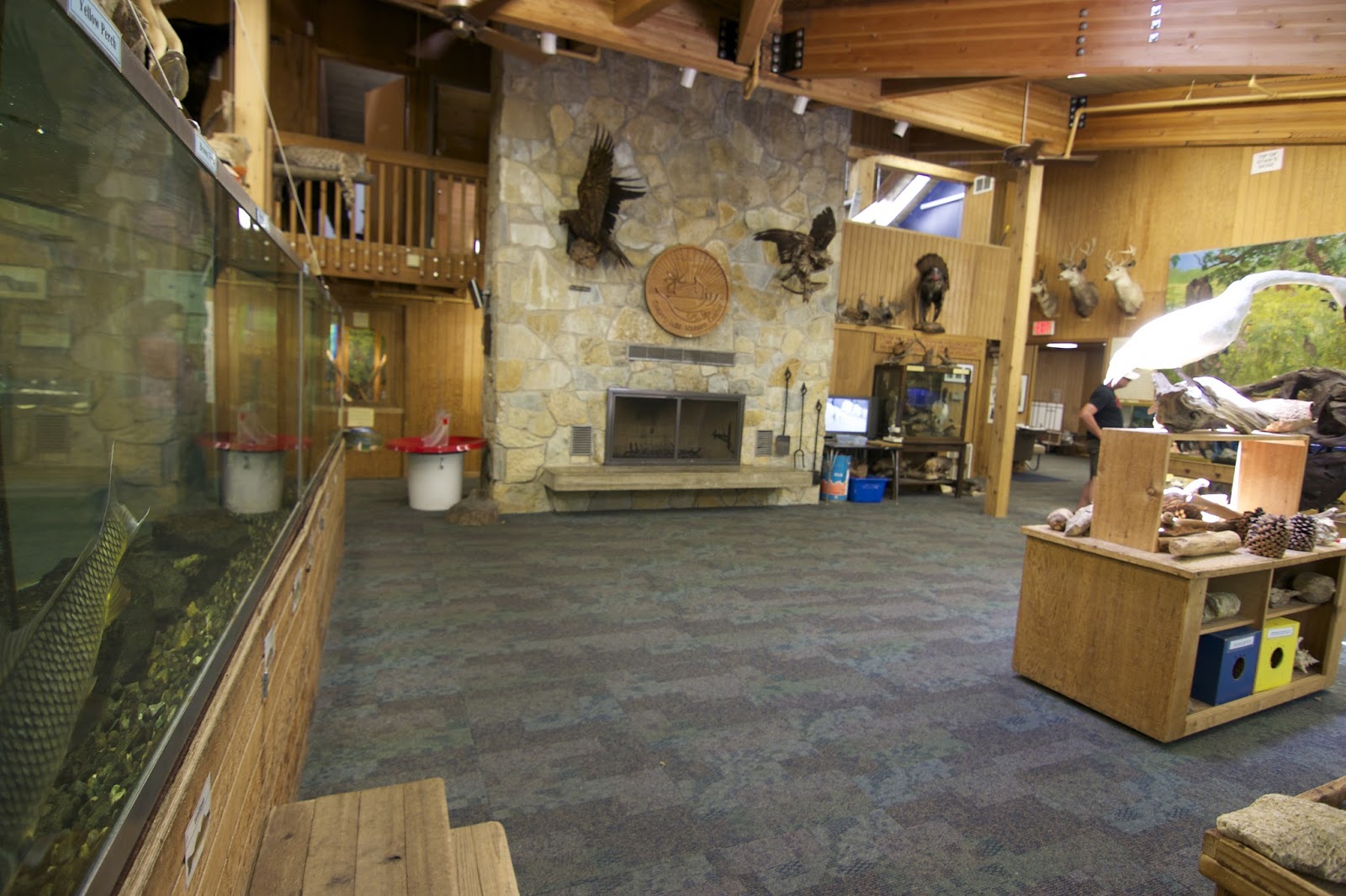 Russman's spot: Quarry Hill Nature Center