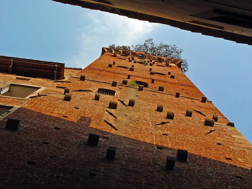 Guinigi Tower Crowned With Oak Trees