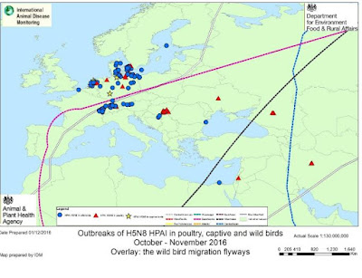 Avian Flu Diary: DEFRA 4th Update On H5N8 In Europe