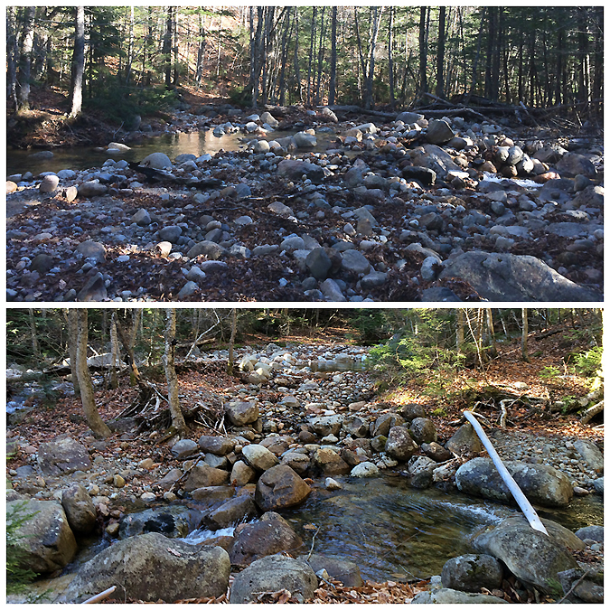 Hiking in the White Mountains: Livermore Pass and the Old Town of ...