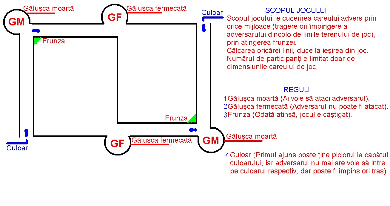 Multe biciclete: Frunza