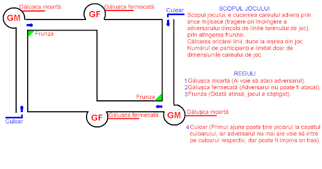 Multe biciclete: Frunza