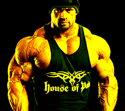 Overseas Fitness Gym - Bodybuilding Tips - Muscle Workout Routines The ...