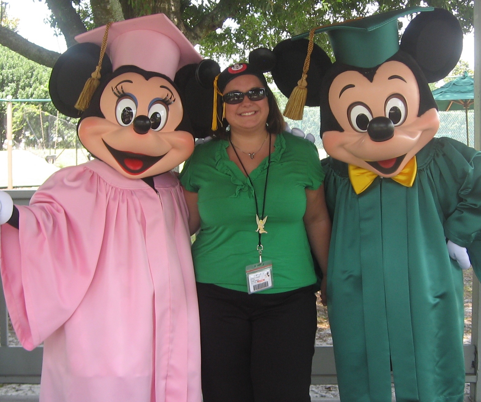 University Of Iowa Graduate Program Requirements: Disney World Graduation