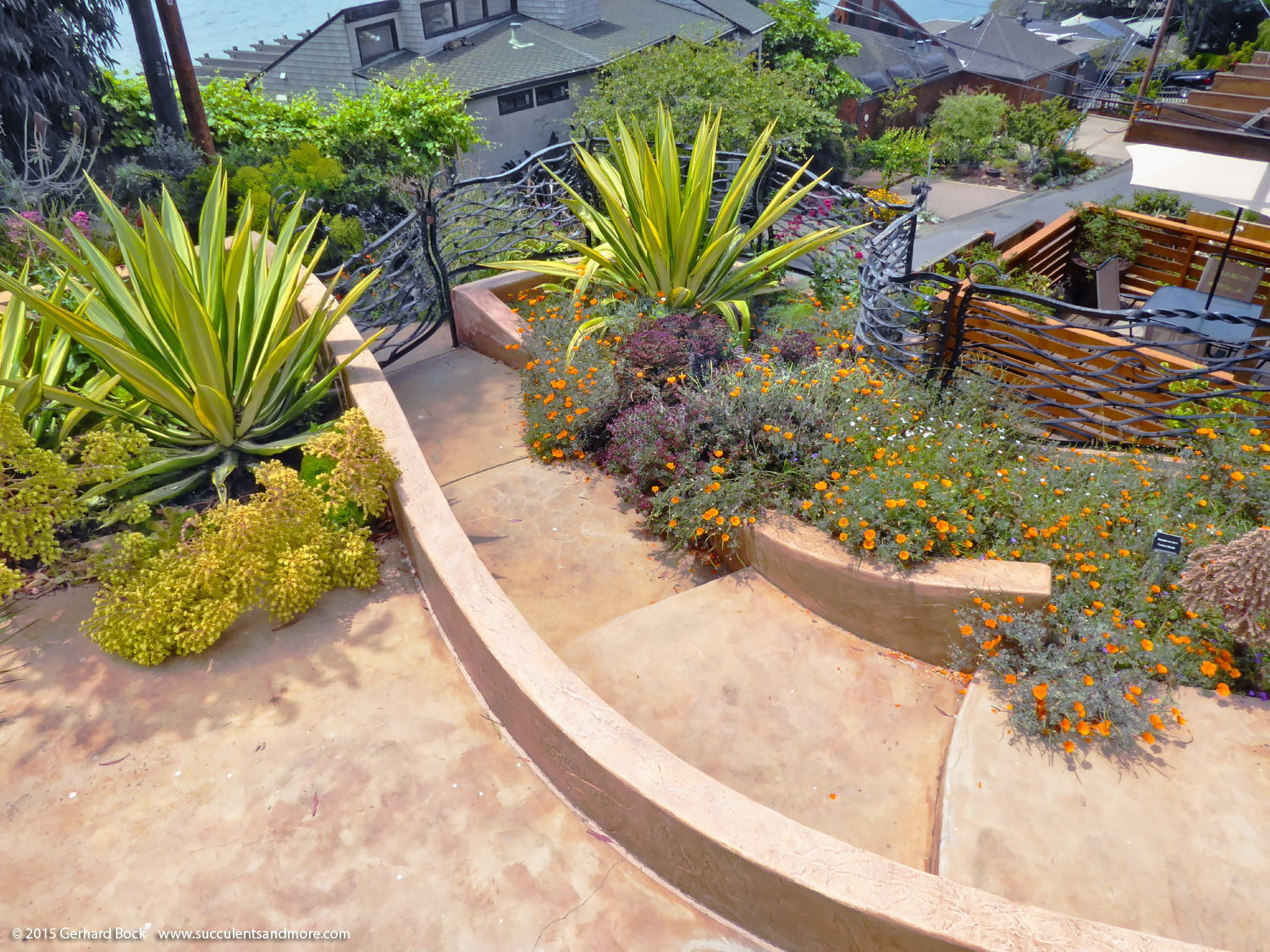 Return to the Wave Garden