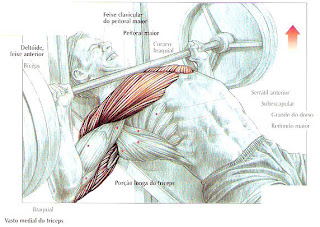 Milhares Delees: Academia - Peitoral