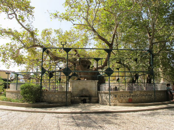 Ξωτικό: Τα 10 πιο διάσημα δέντρα του κόσμου