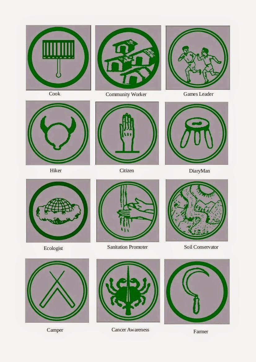 BSG Wayanad: Badge Emblems