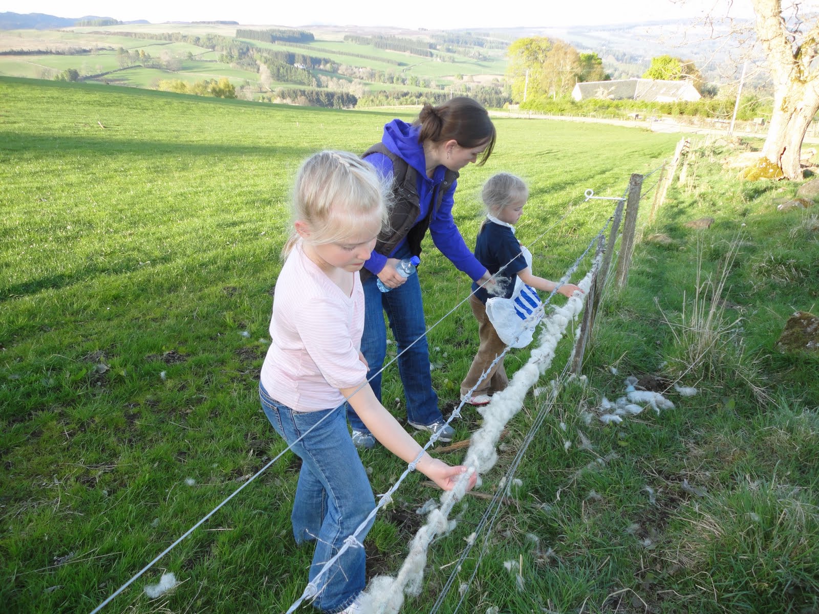 Dobber-Blog 3: Adventures in the Scottish Countryside