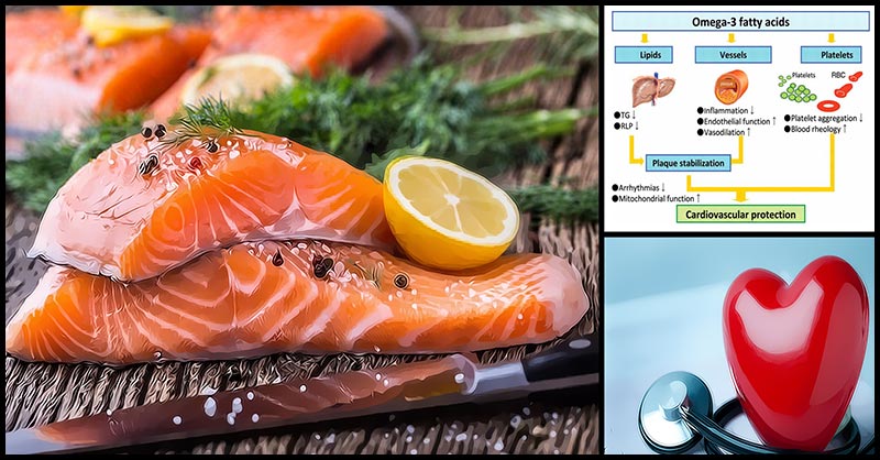 Eating Fatty Fish Once A Week Reduces Risk Of Having Cardiovascular ...