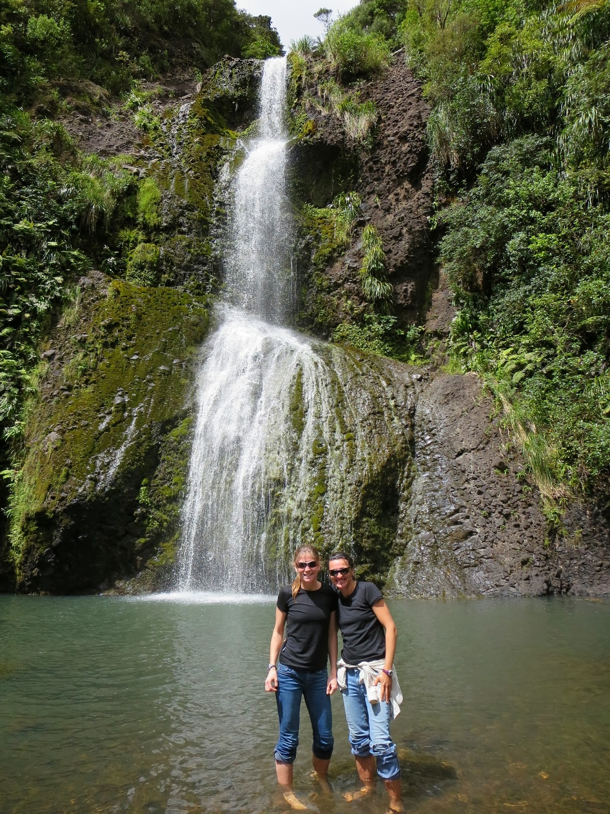BRAZIL NUT AND JETPACK: Kaitaia