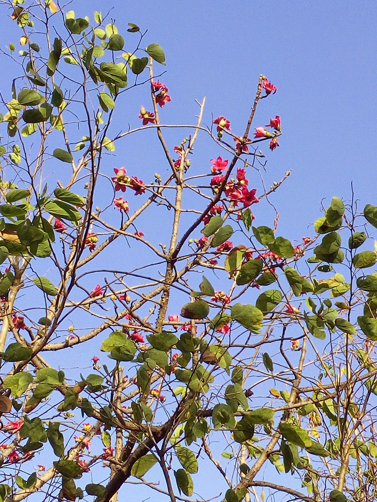 Rajesh's Writings : March 2015