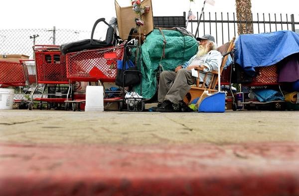 Our Amazing World: For All The Blue Tarps