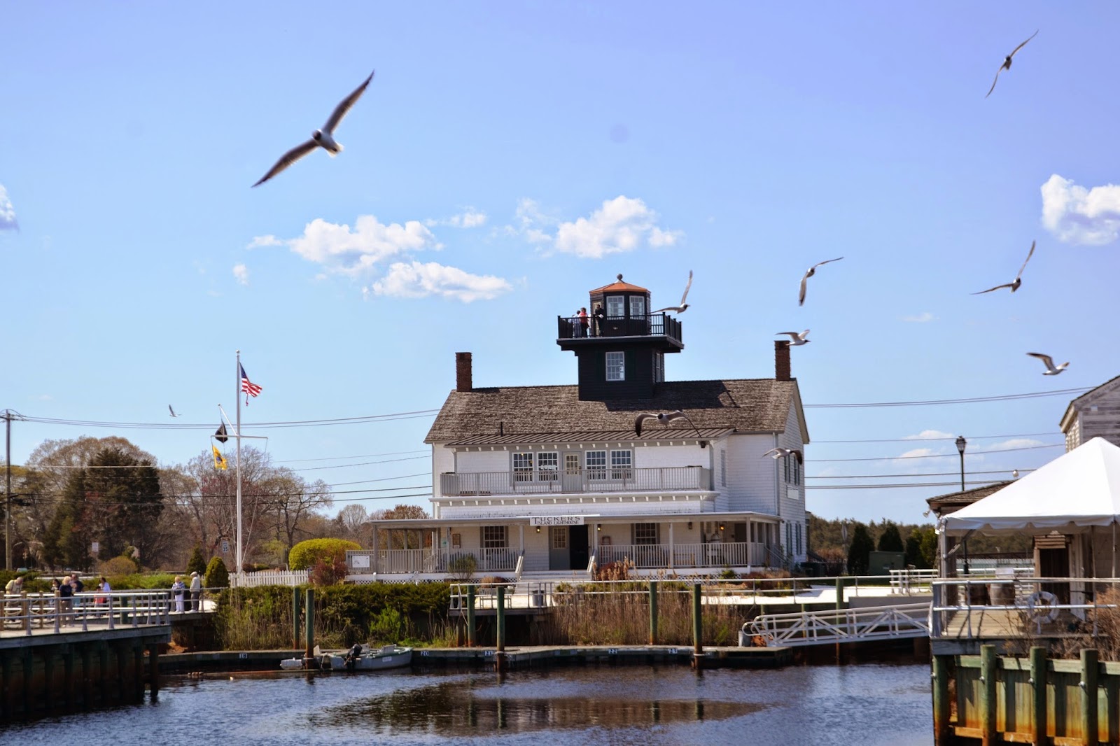 It's All About Purple: The Tuckerton Seaport