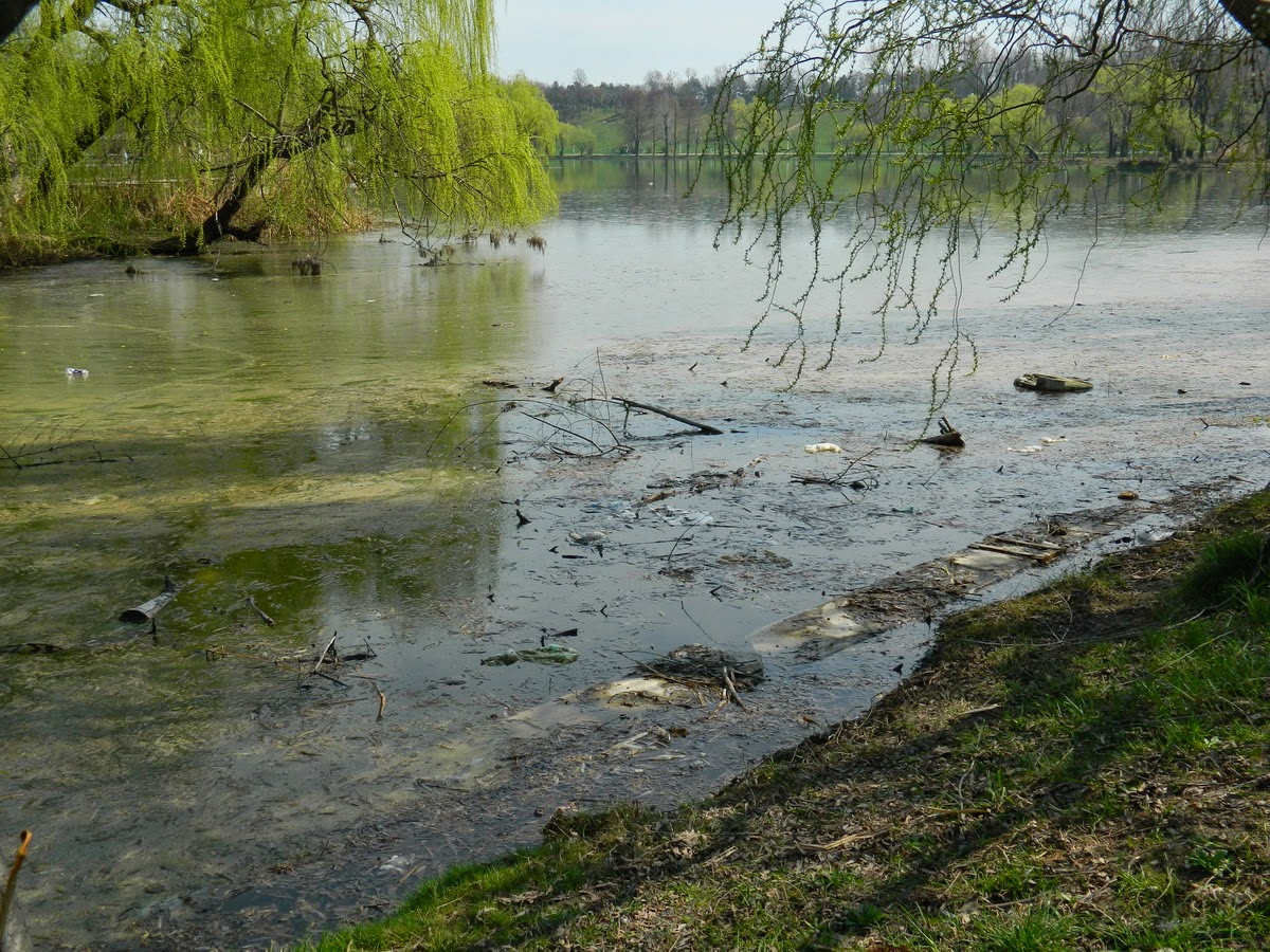 LA MULTI ANI, ROMANIA!: Poze "ecologice" in parcul Tineretului