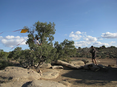 Cathedrals and Crocodiles: Kite Eating Tree