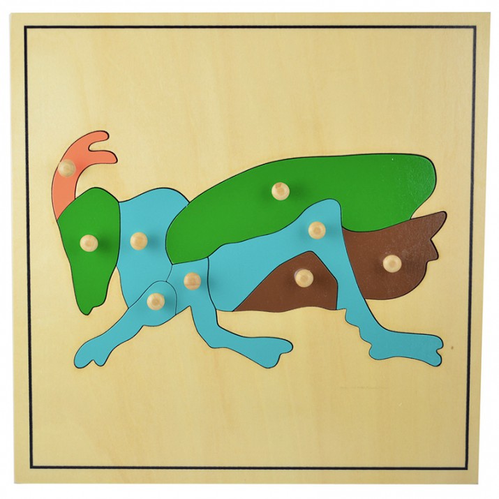 1000 Recursos Infantil: Puzzle Montessori: Los Insectos.