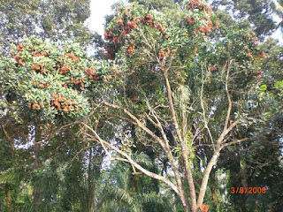 Hatiku Hanya UntukMU