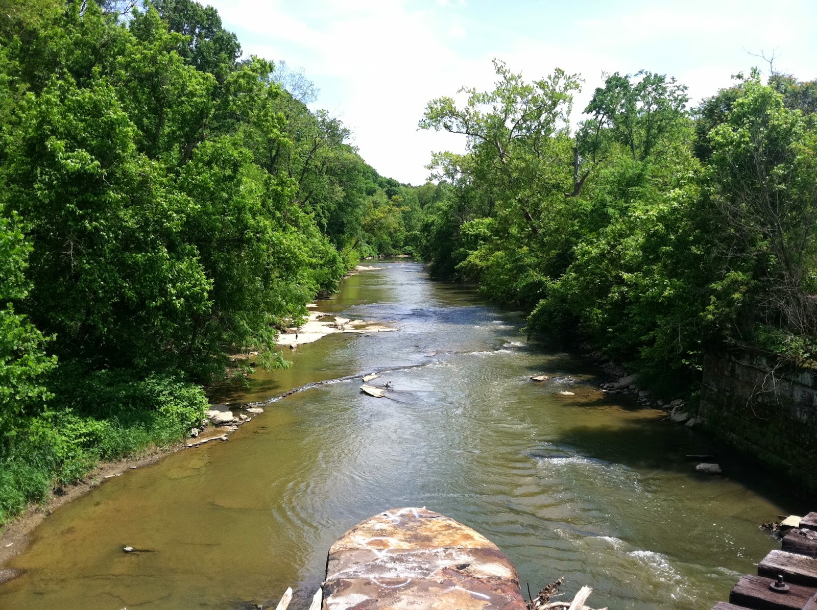 Snow and Jaggers: Railroad Bridge over Chartiers Creek