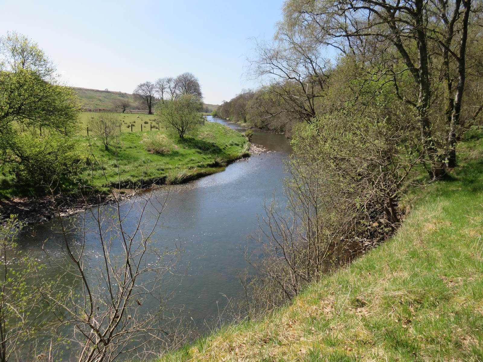 Desmondo's Ramblings: River Ayr Way Muirkirk - Sorn