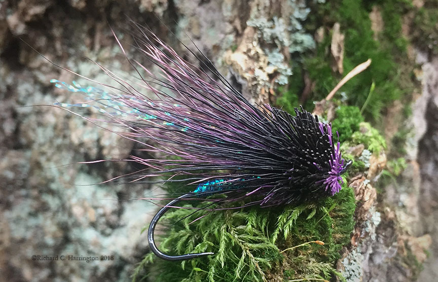 DRY LINE STEELHEAD - OREGON: Muddler Minnow....