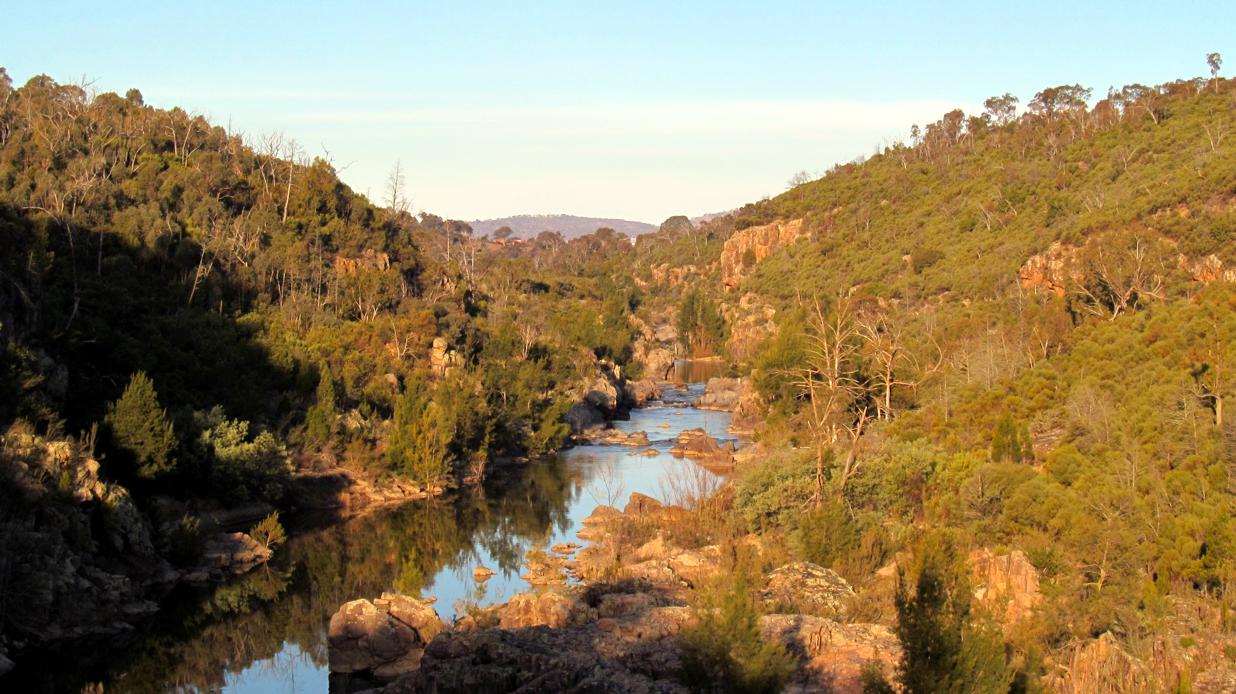 PhyloBotanist: Murrumbidgee River