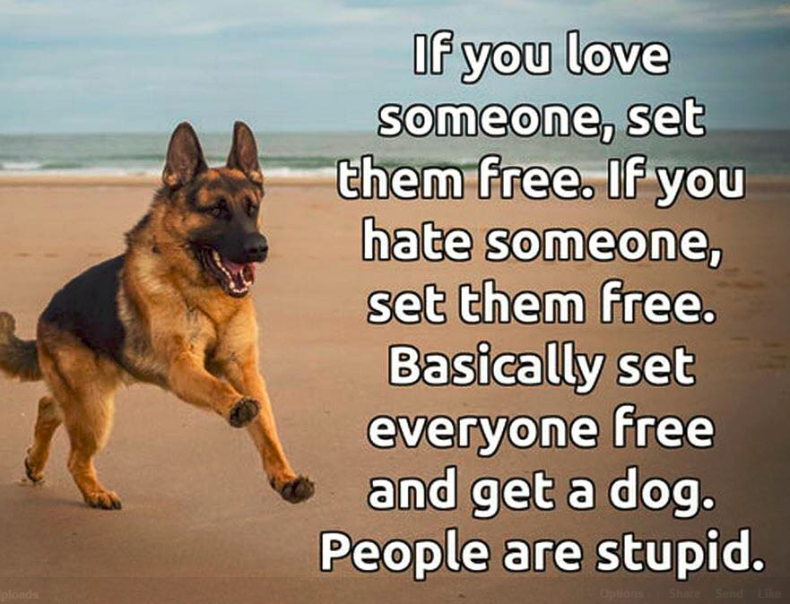 If you love someone, set them free, if you hate someone set them free ...